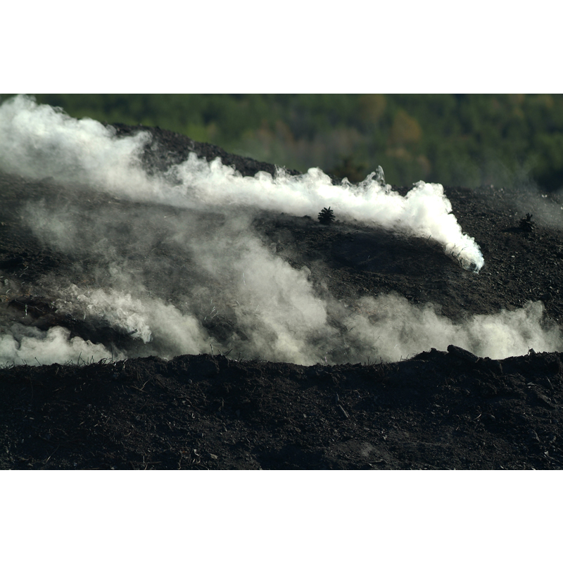 Torak – Galeri Sanatyapım